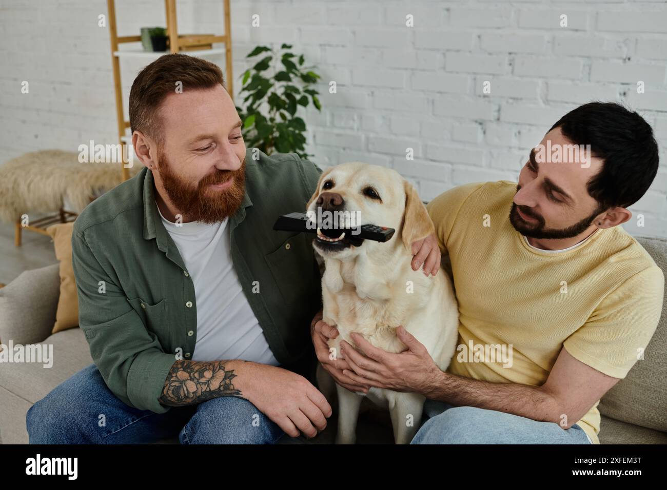 Bearded gay couple sitting on a couch, joyfully holding and petting ...