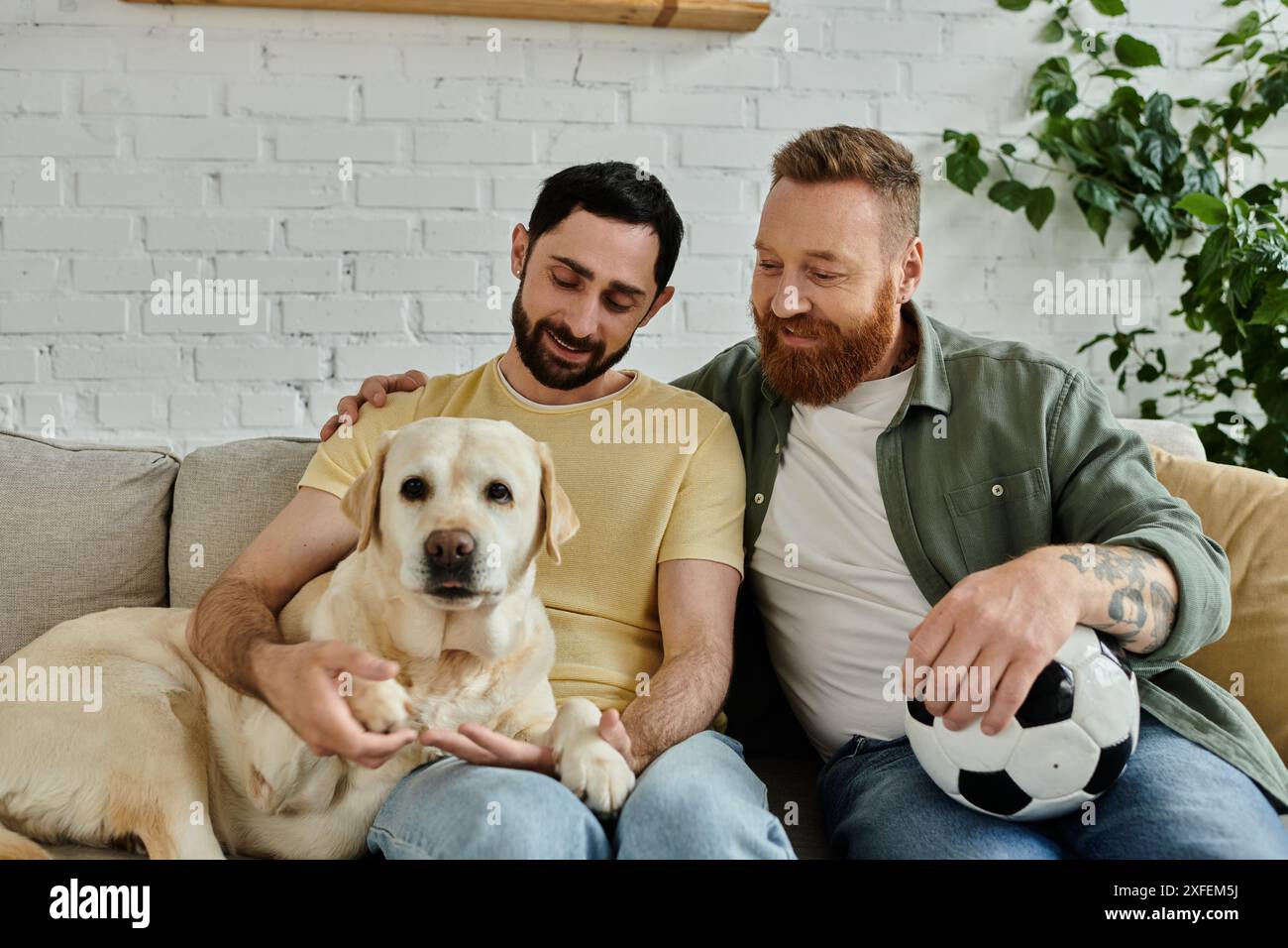 Bearded Gay Couple Cuddle With Their Labrador On A Cozy Couch In Their Living Room Sharing A