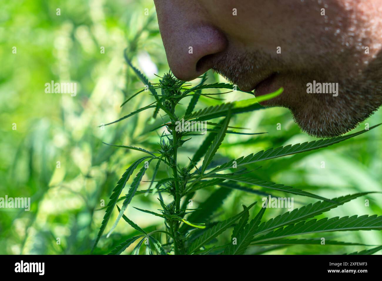 O guy hi-res stock photography and images - Alamy