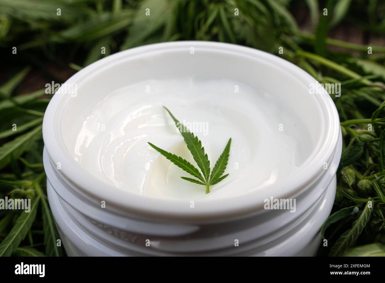 Cosmetic bottle green leaf hi-res stock photography and images - Alamy