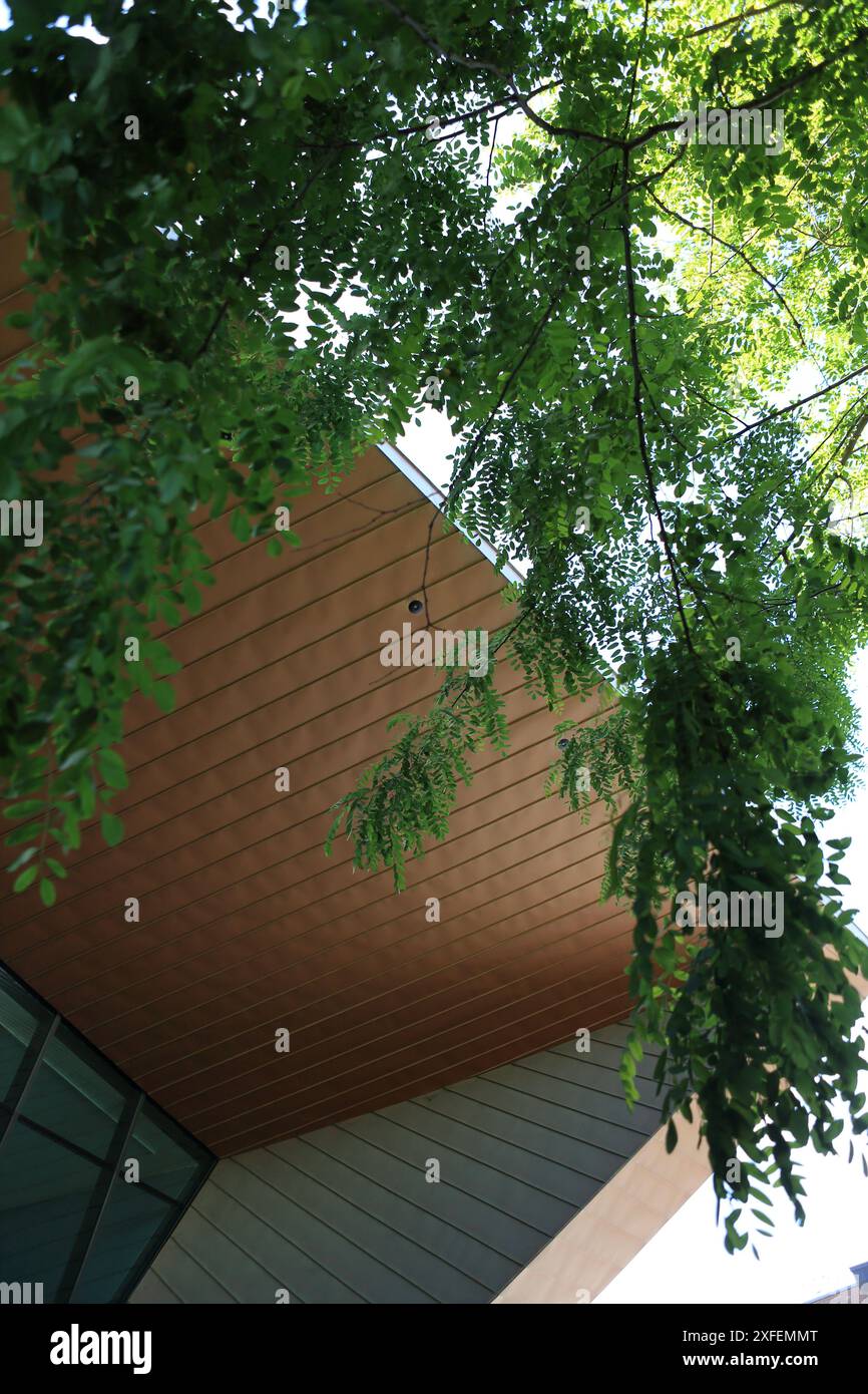 Firstsite gallery Colchester Essex UK exterior art gallery Stock Photo ...