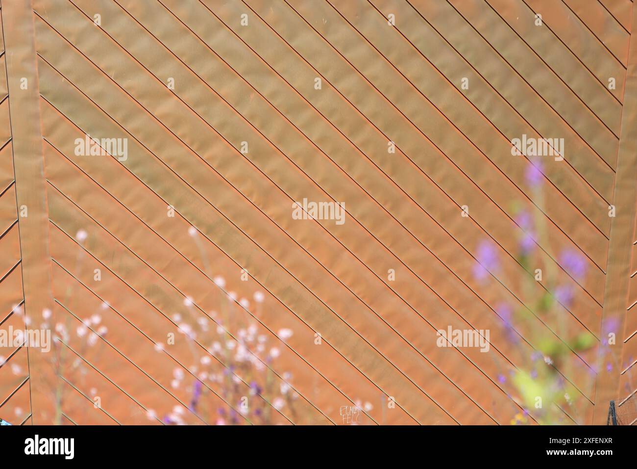 Firstsite gallery Colchester Essex UK exterior art gallery Stock Photo ...