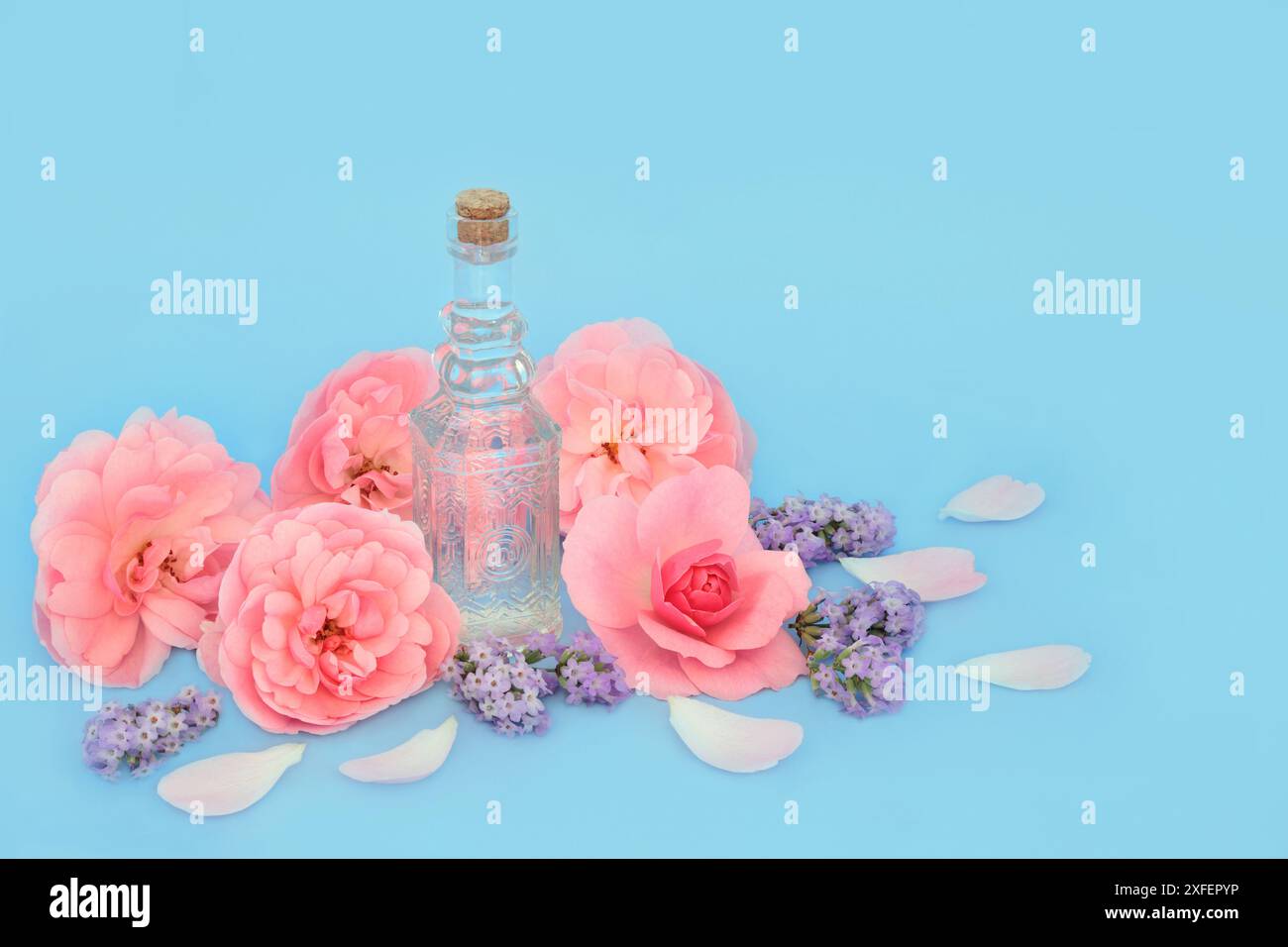 Rose and lavender flower rosewater on blue baclground. Treats skin ...