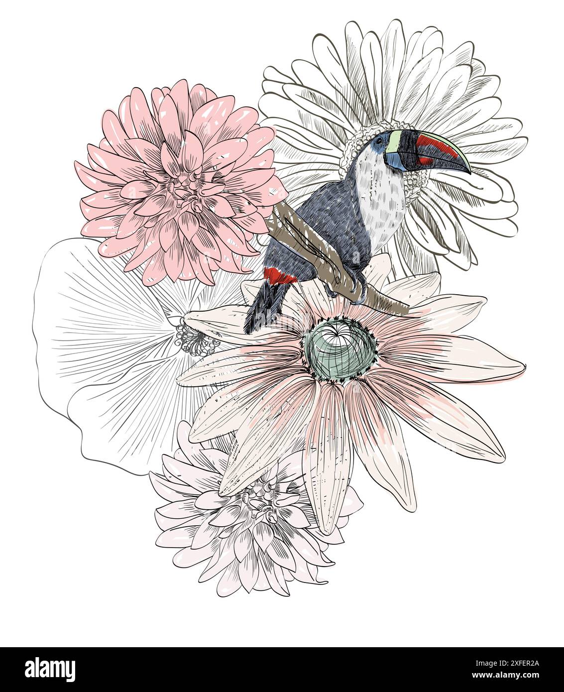 Vector sketch of a parrot with flowers. Hand drawn illustration Stock ...