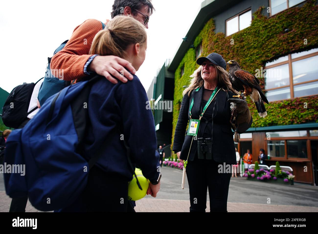 Rufus The Hawk, used to keep pigeons away from the courts, with handler ...
