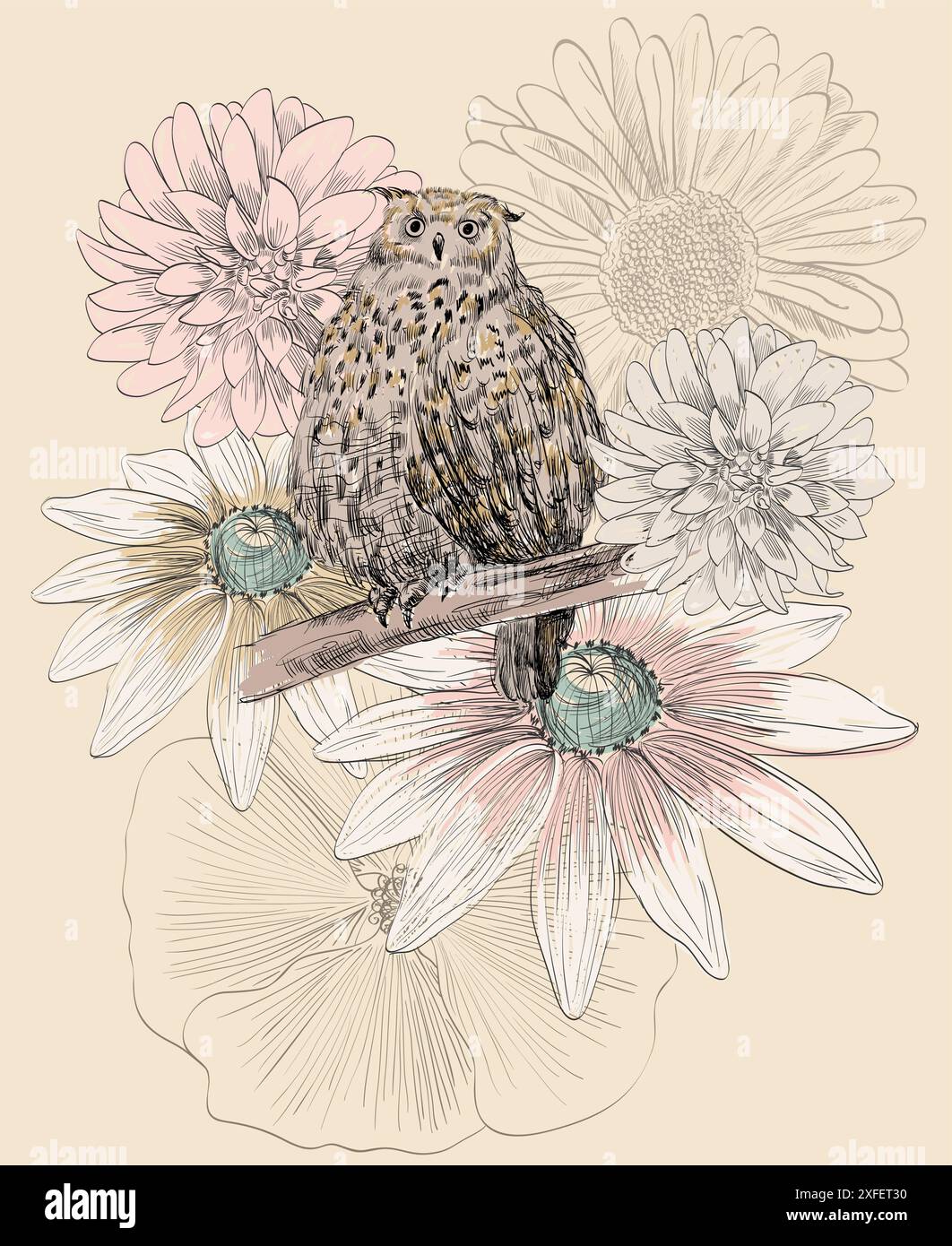 sketch of a owl Stock Vector Image & Art - Alamy