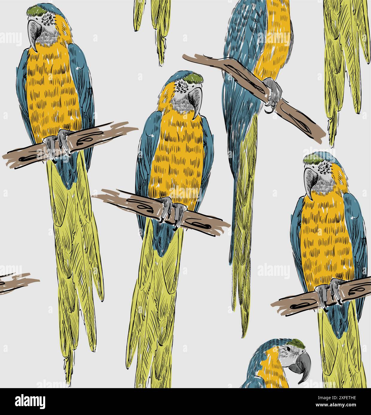 Ink blue parrot hi-res stock photography and images - Alamy