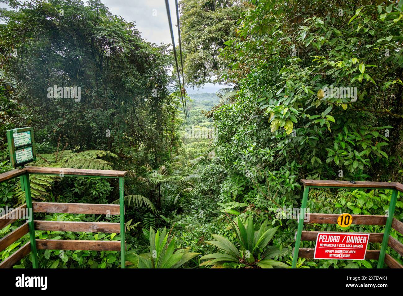 Starting point of the zipline over treetops in the cloud forest, Costa ...