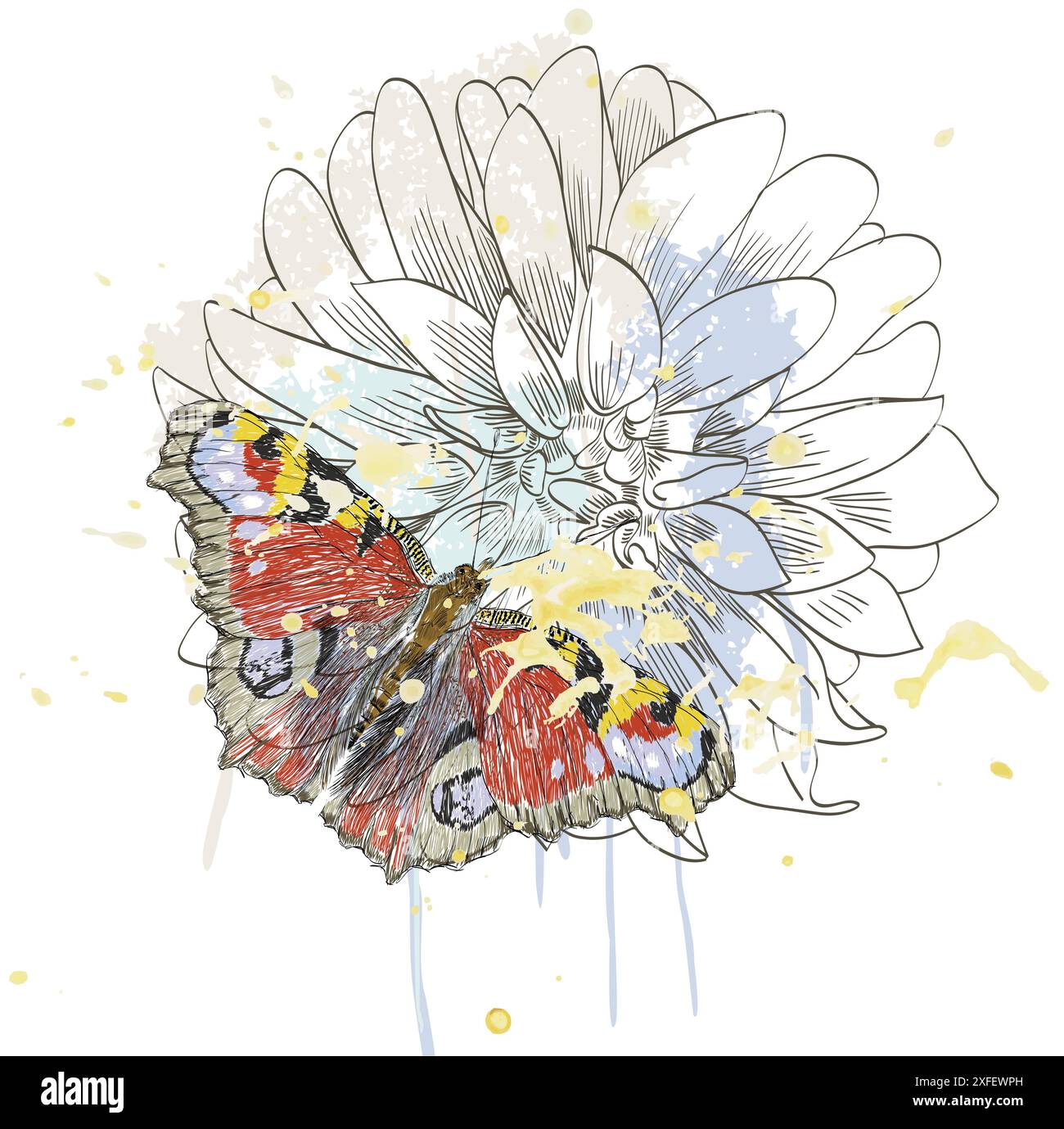 butterfly and daisy Stock Vector Image & Art - Alamy