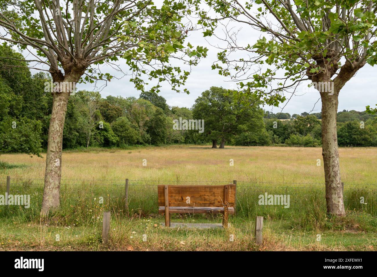 Wooden bench between two trees with a view looking across an open field ...