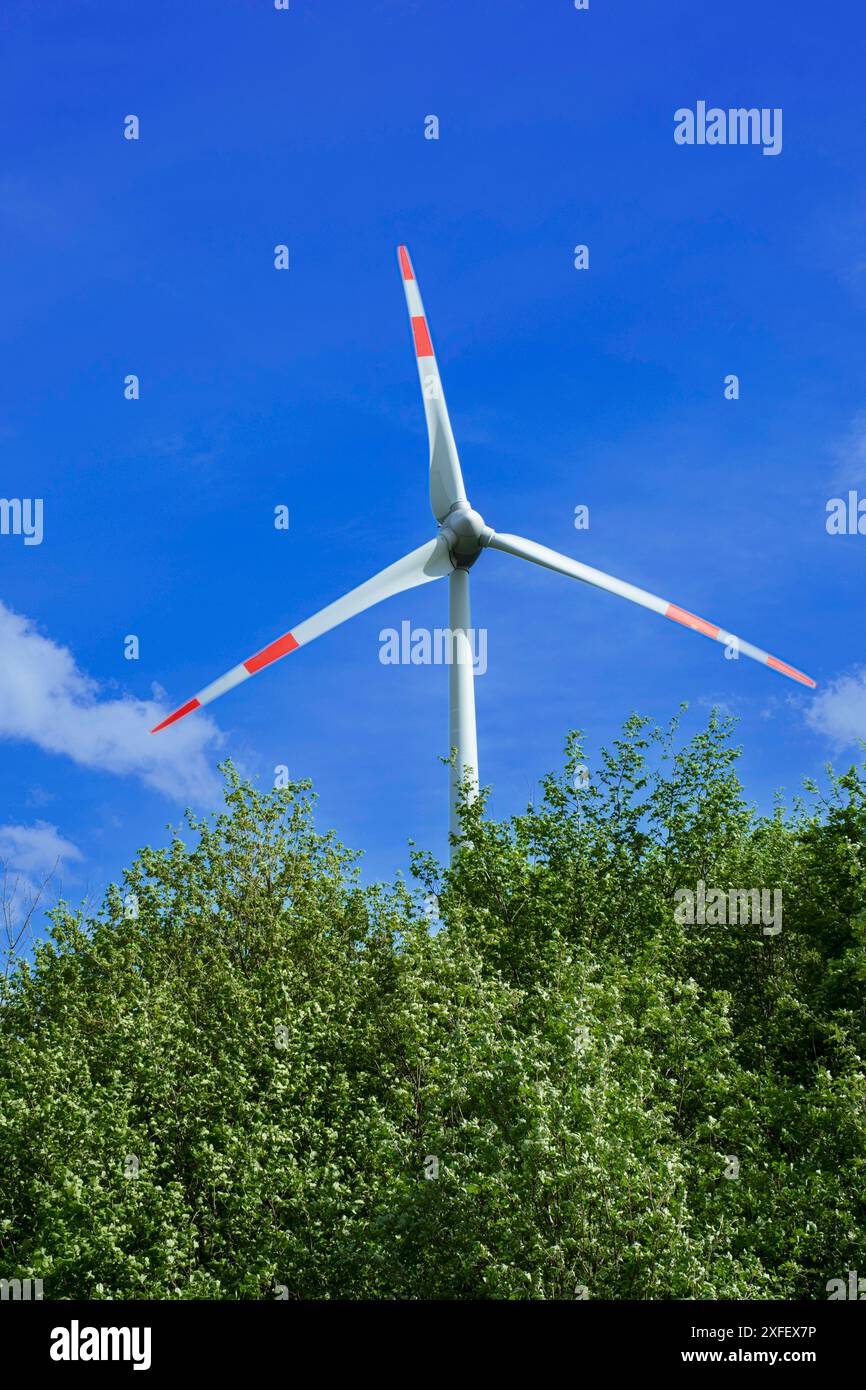 wind turbine over trees at the Avacon substation in Helmstedt, Germany ...