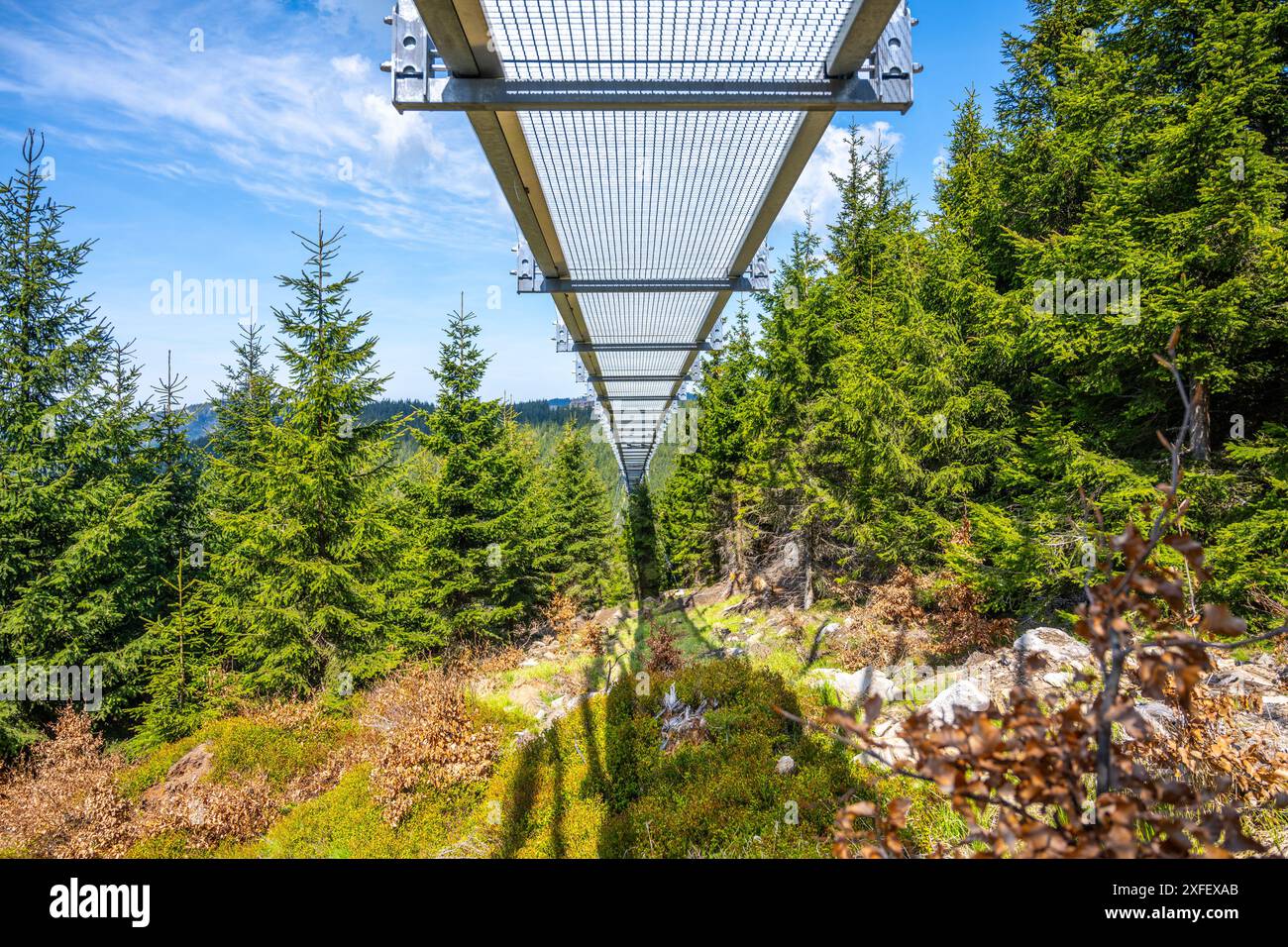 Underside bridge mountain trees hi-res stock photography and images - Alamy