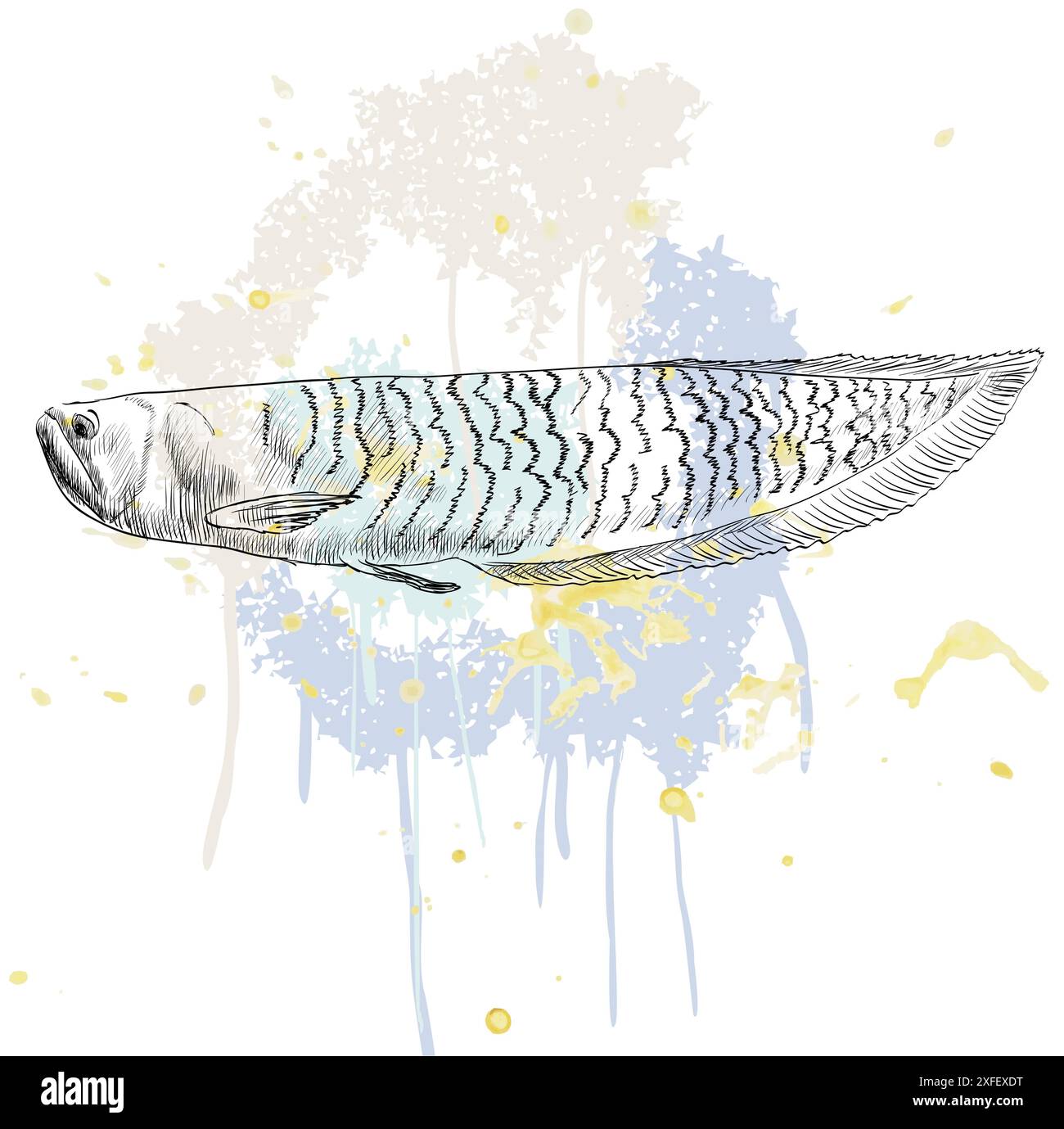 sketch of a fish Stock Vector Image & Art - Alamy