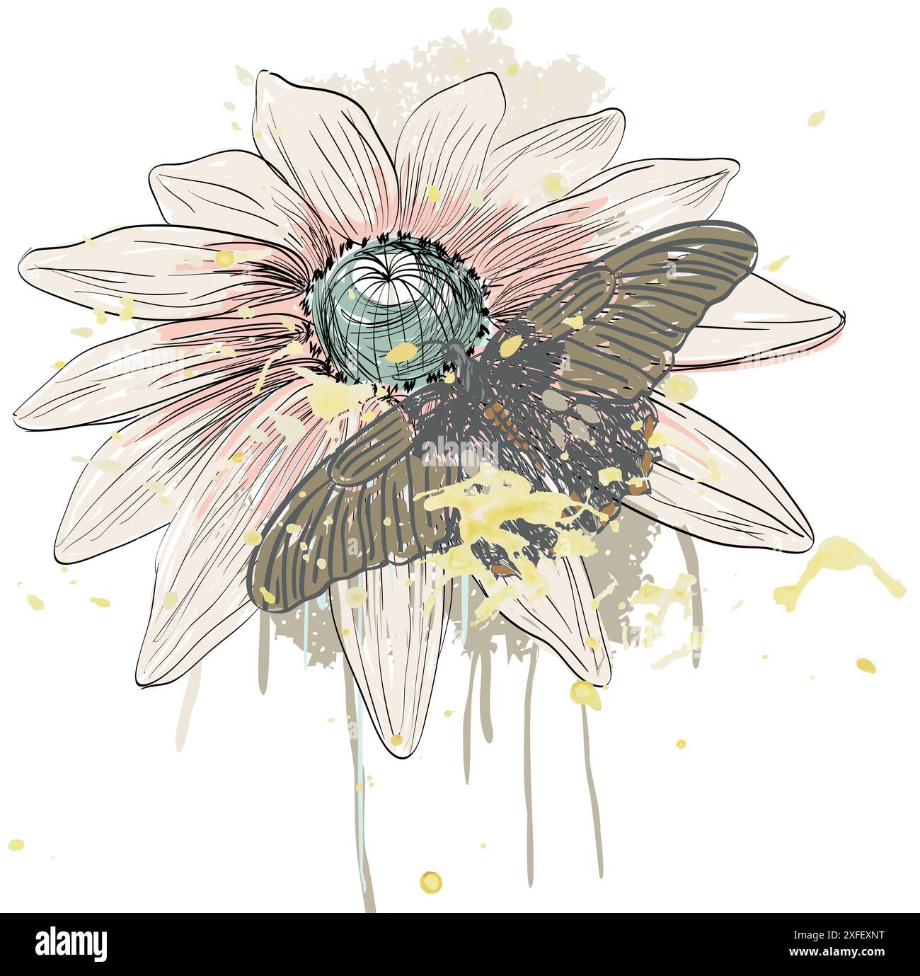 Paper daisy background Cut Out Stock Images & Pictures - Alamy