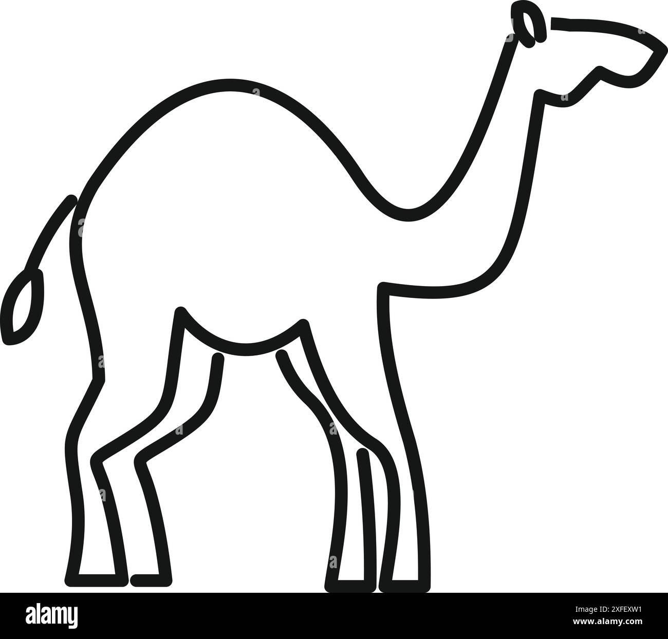 One hump camel drawing Black and White Stock Photos & Images - Alamy