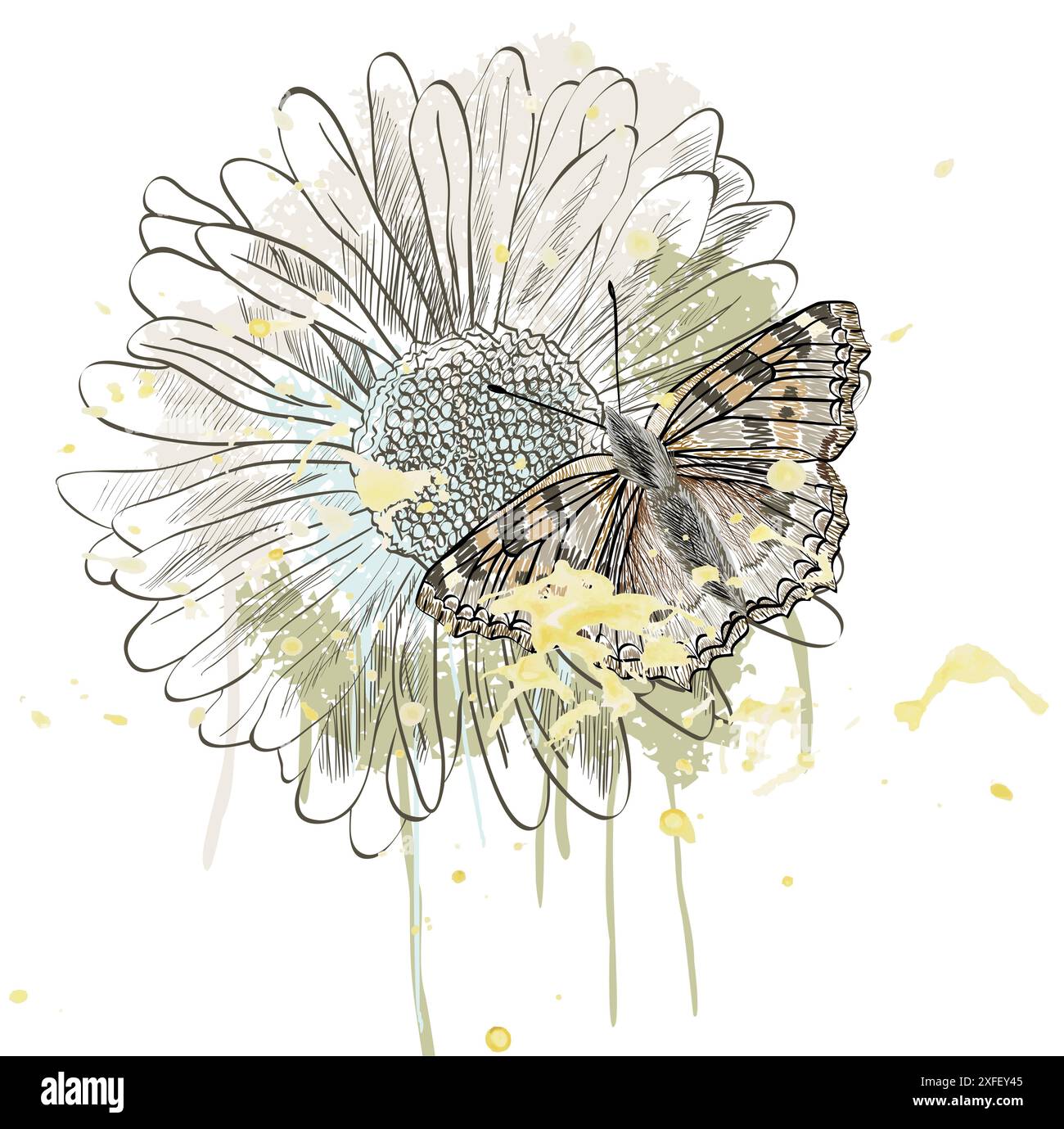 Paper daisy background Cut Out Stock Images & Pictures - Alamy