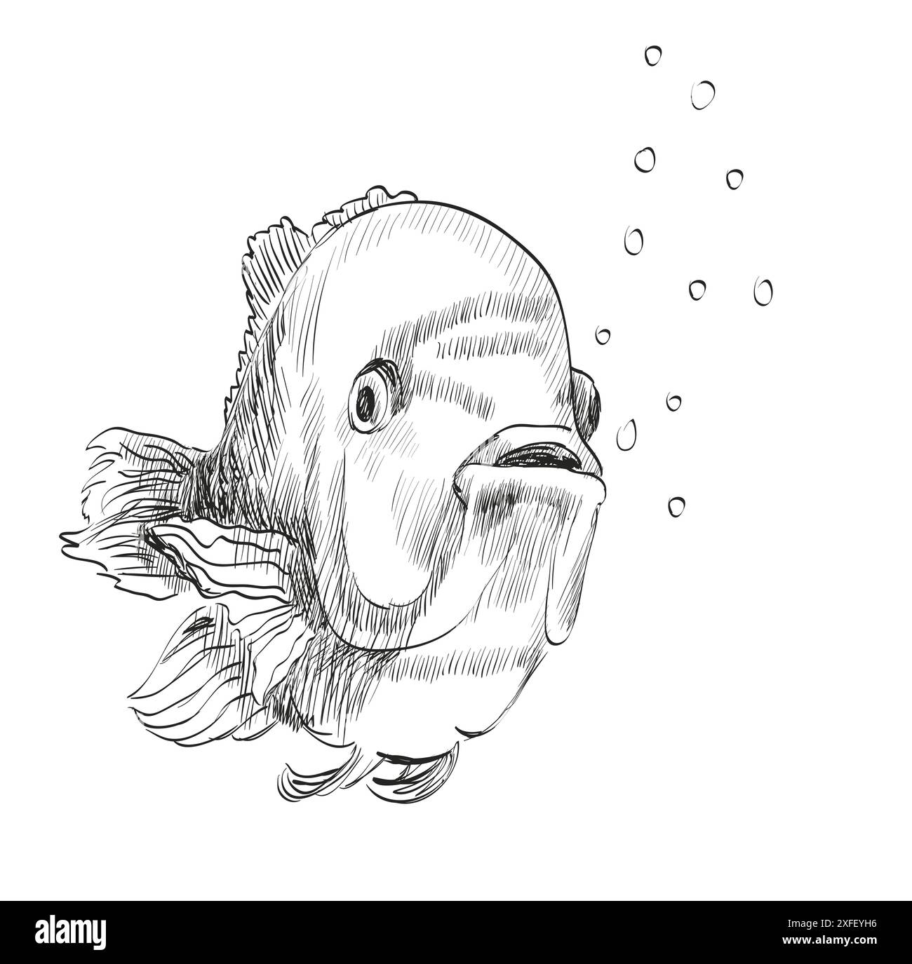 sketch of a fish Stock Vector Image & Art - Alamy
