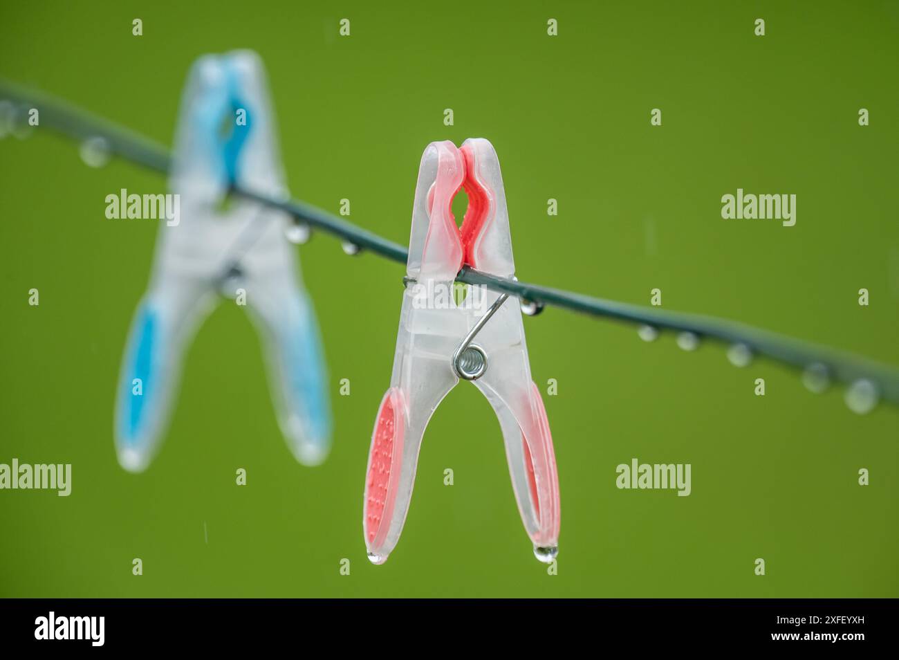 Rottweil, Germany. 03rd July, 2024. Raindrops hang from clothespins on ...