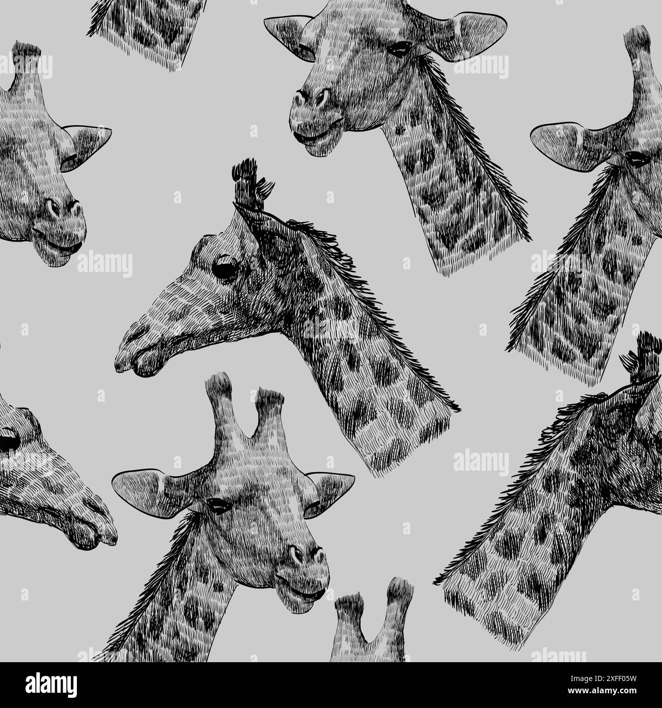 Giraffe sketch hi-res stock photography and images - Alamy