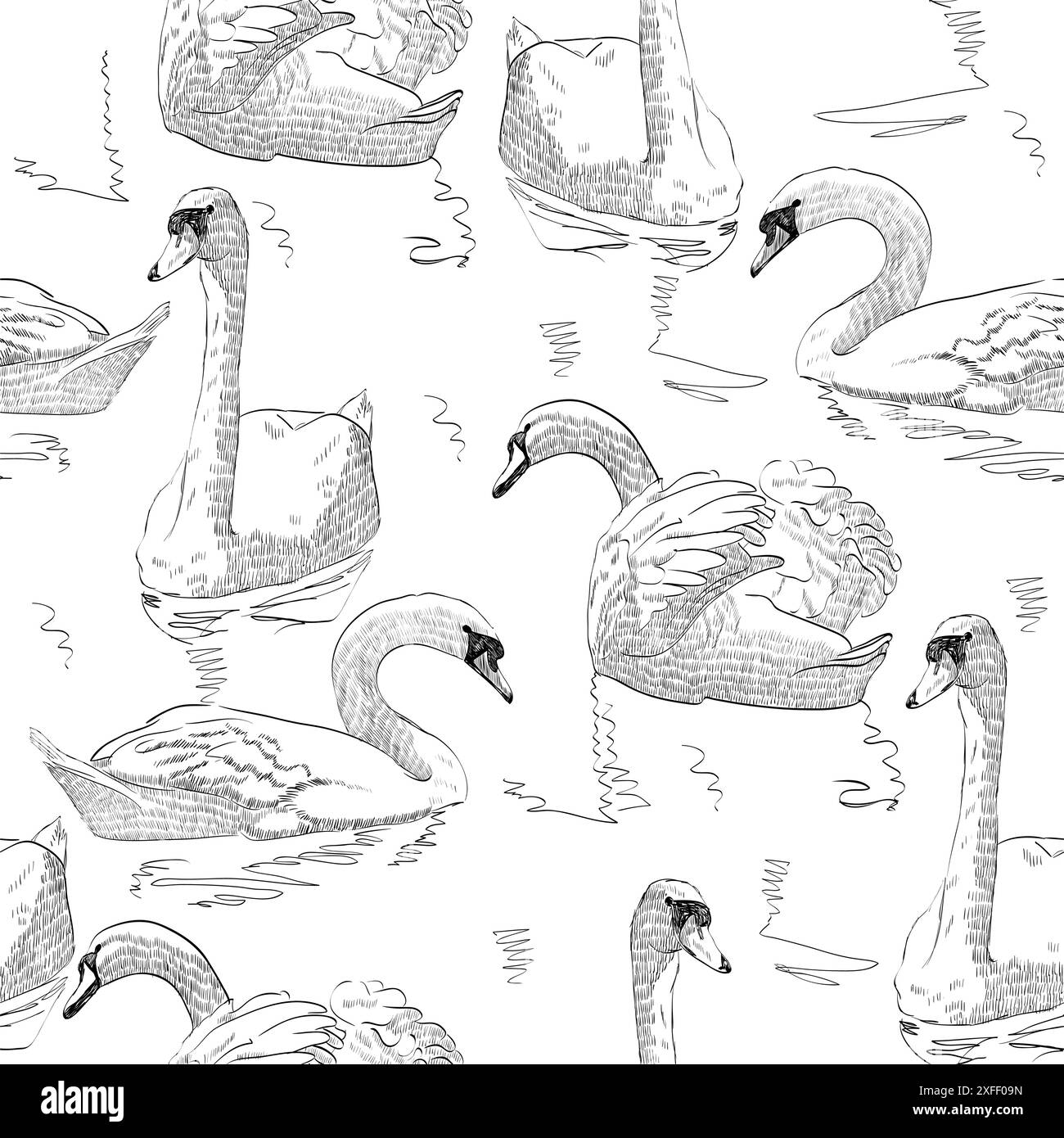 Sketch love bird hi-res stock photography and images - Alamy