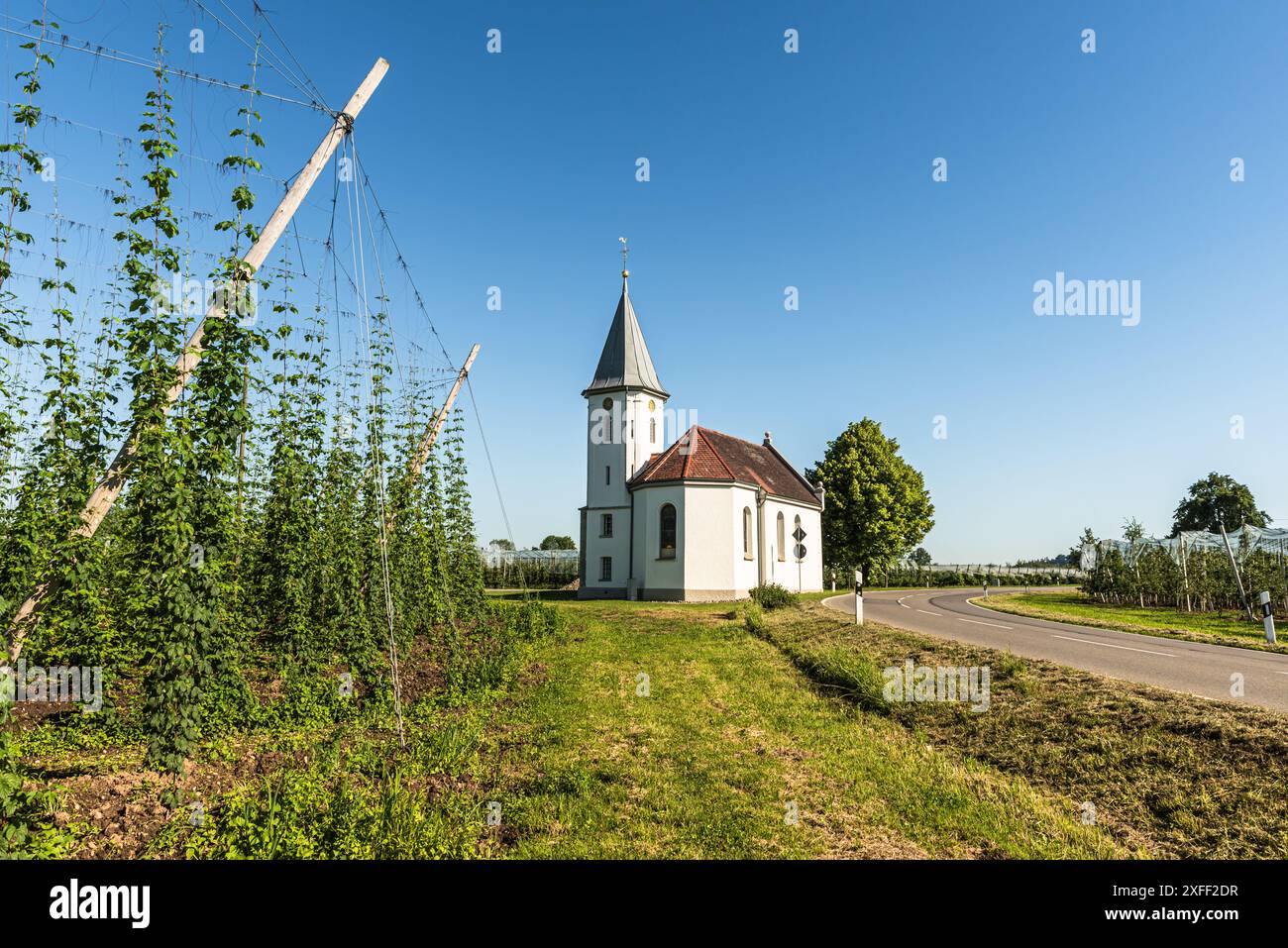 Chapel in rural landscape with hop field and orchards on a road near ...