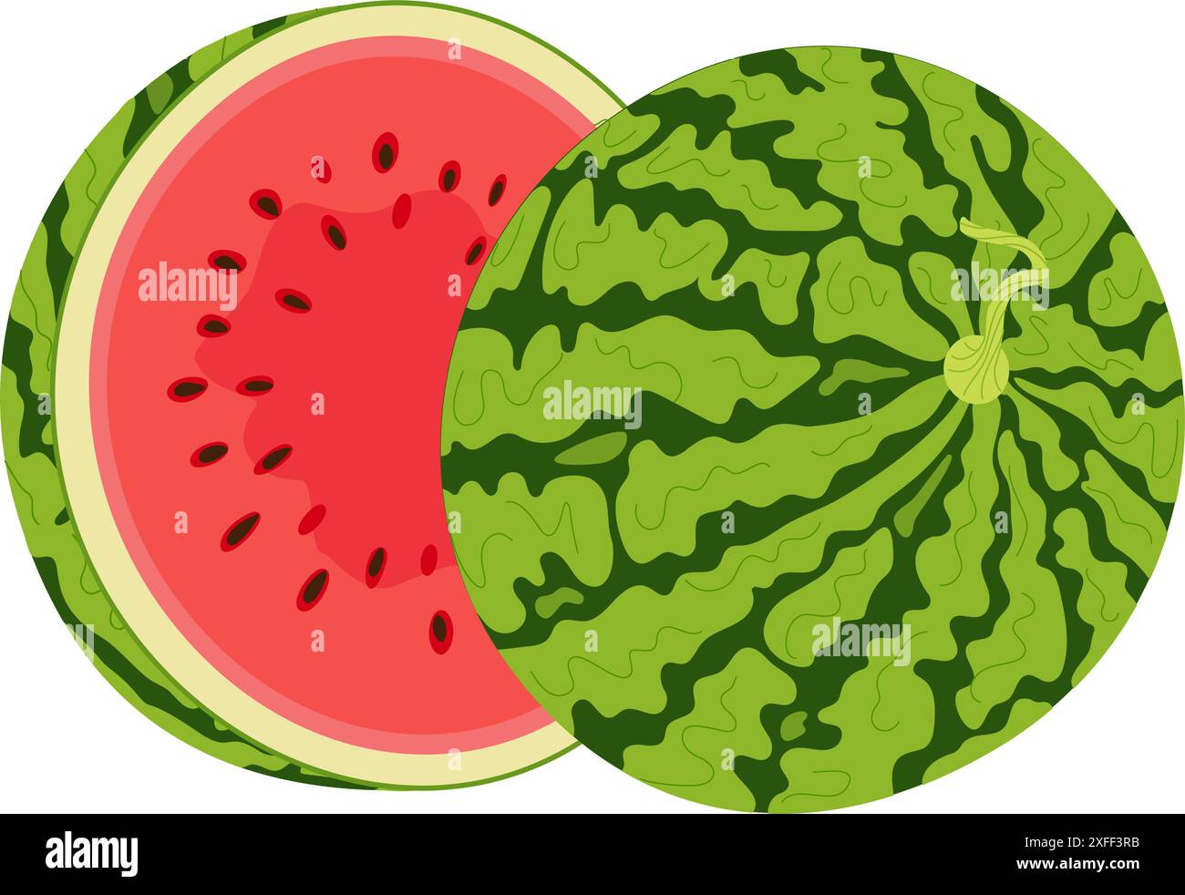Two watermelon halves. Ripe red cut watermelon. Hand drawn Trendy flat ...