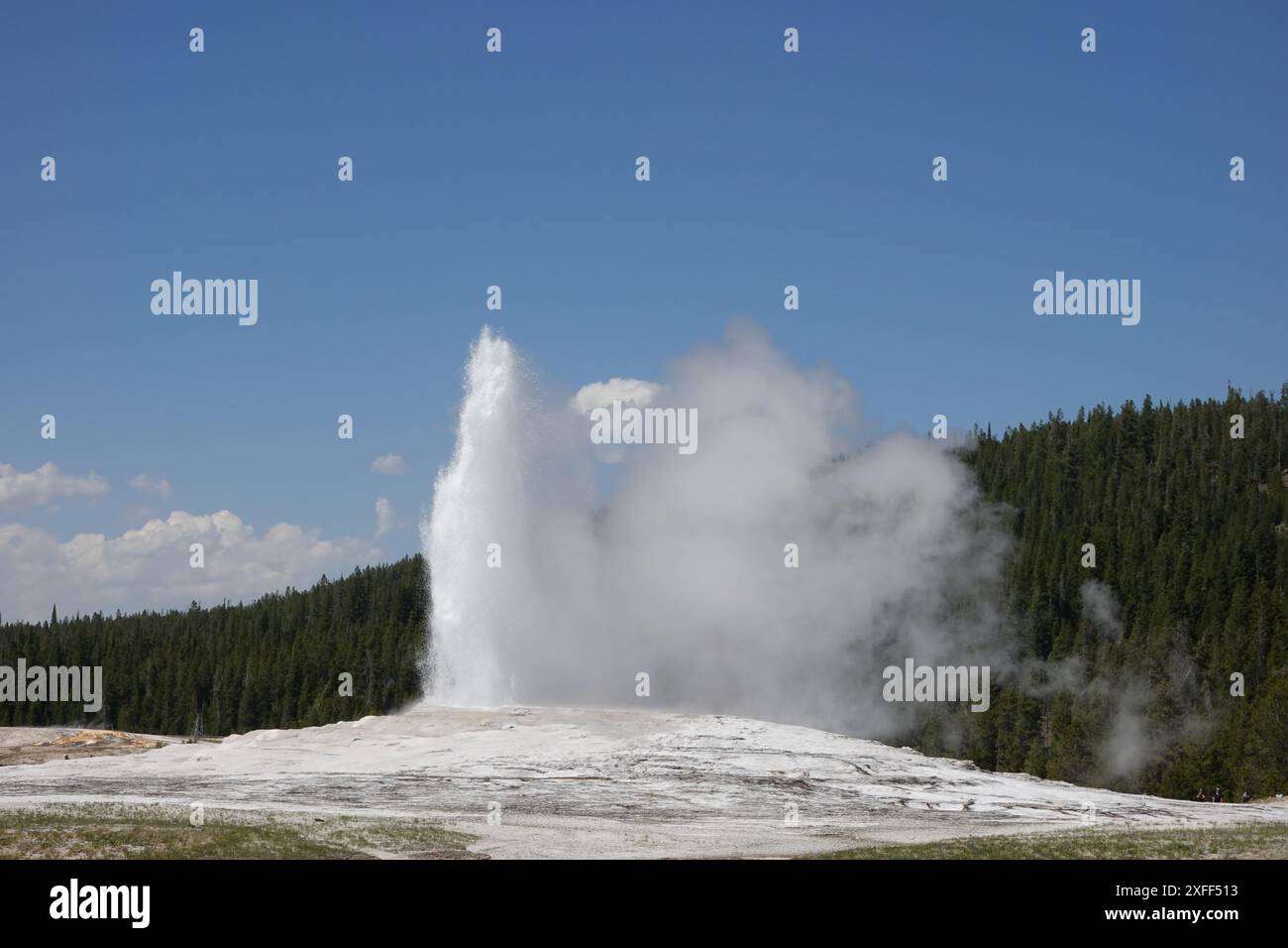 Old Faithful Eruption (Wide Stock Photo - Alamy