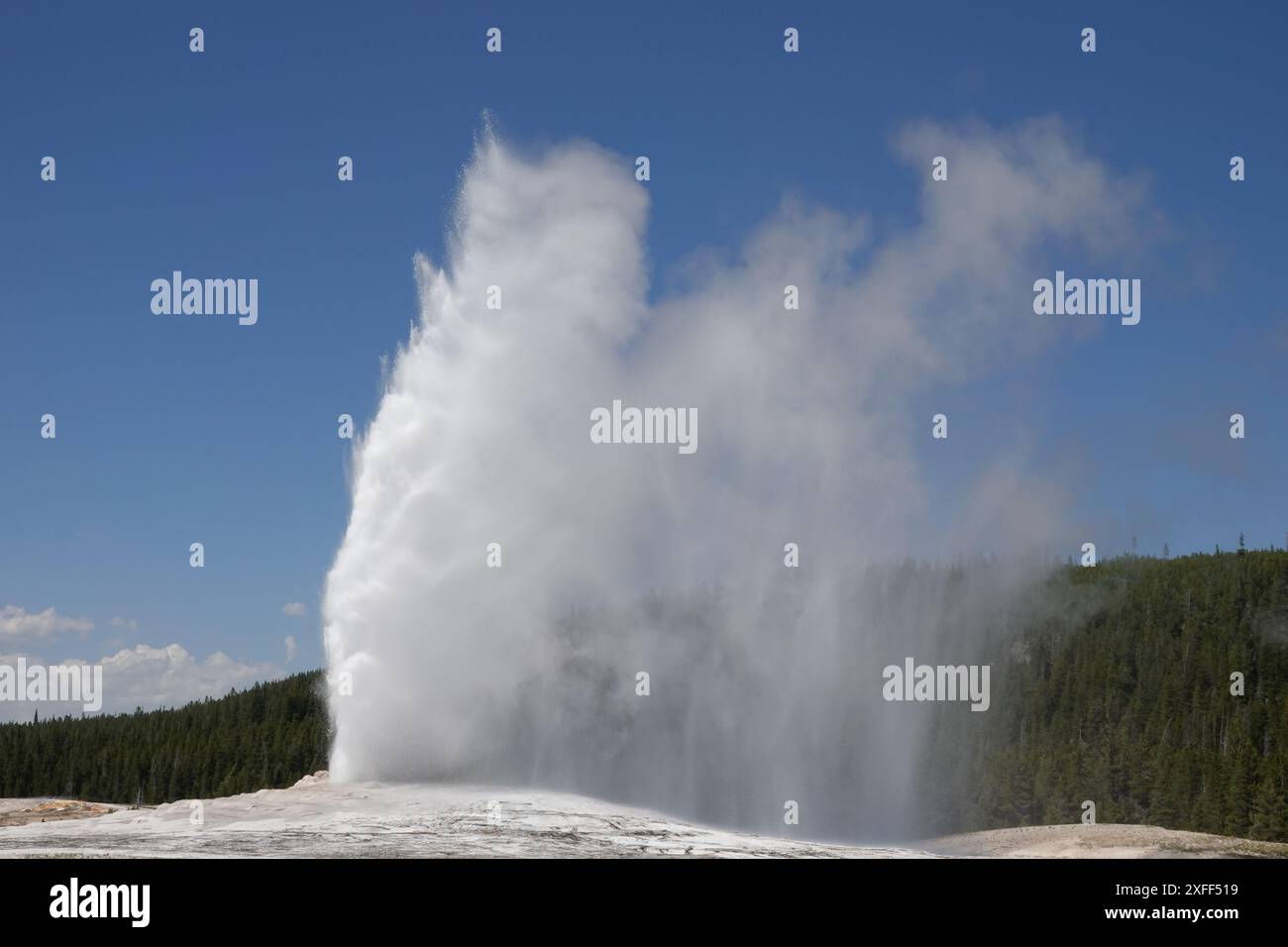Old Faithful Eruption Stock Photo - Alamy