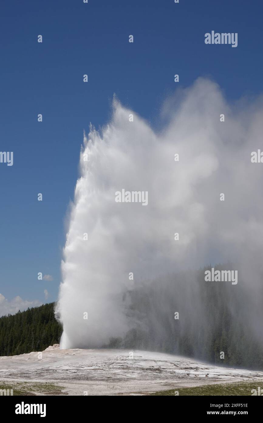 Old Faithful Geyser Stock Photo - Alamy