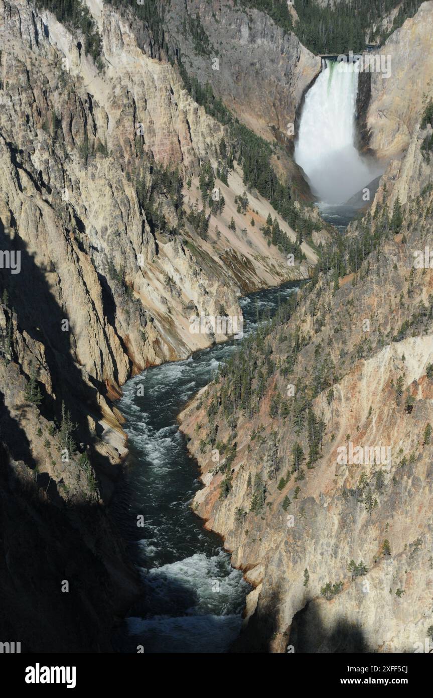Lower Falls, Yellowstone (Portrait Stock Photo - Alamy