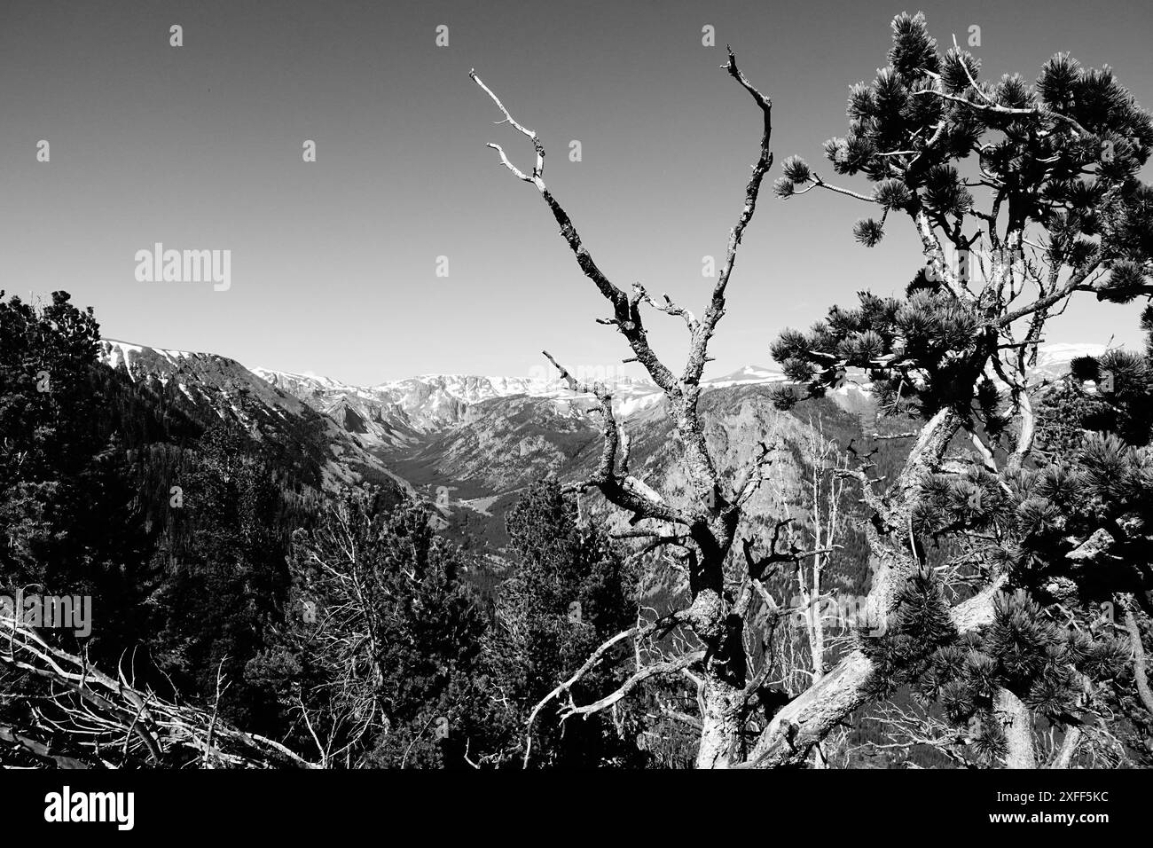 Beartooth pass vista hi-res stock photography and images - Alamy