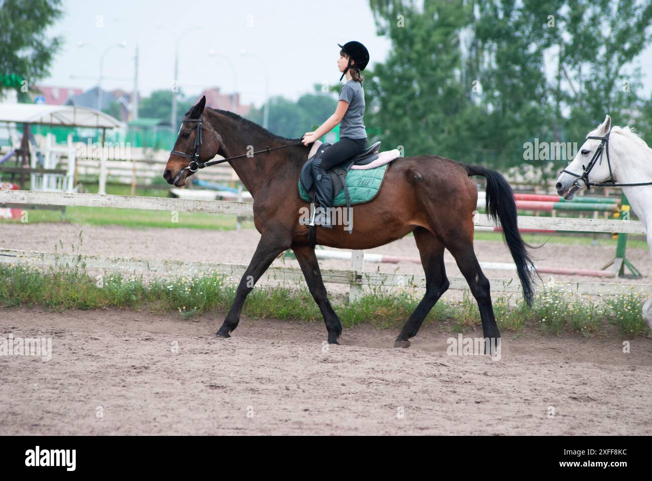 Teenage girl learning to gallop on horseback on a summer day Stock ...