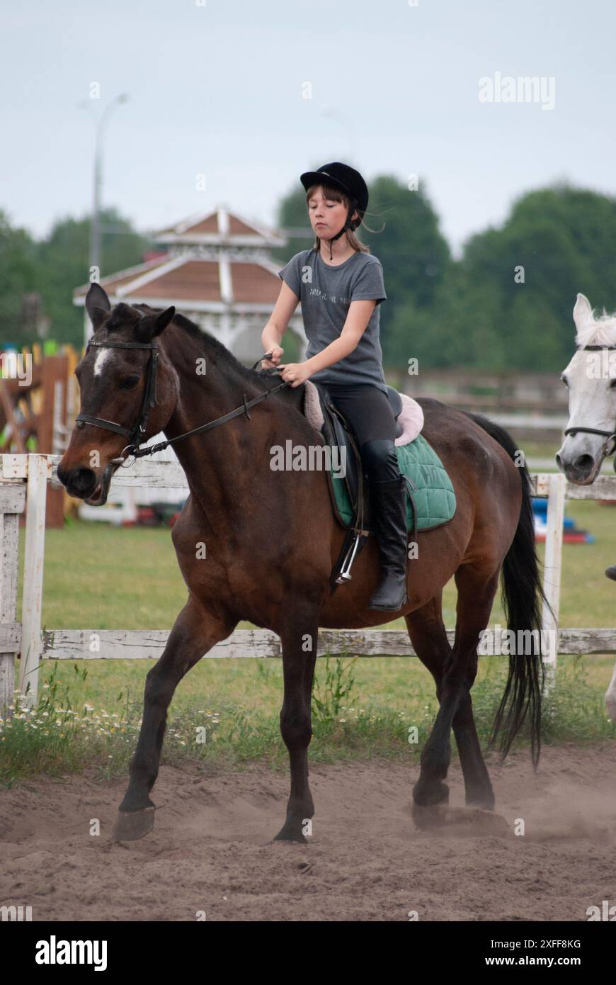 Teenage girl learning to gallop on horseback Stock Photo - Alamy