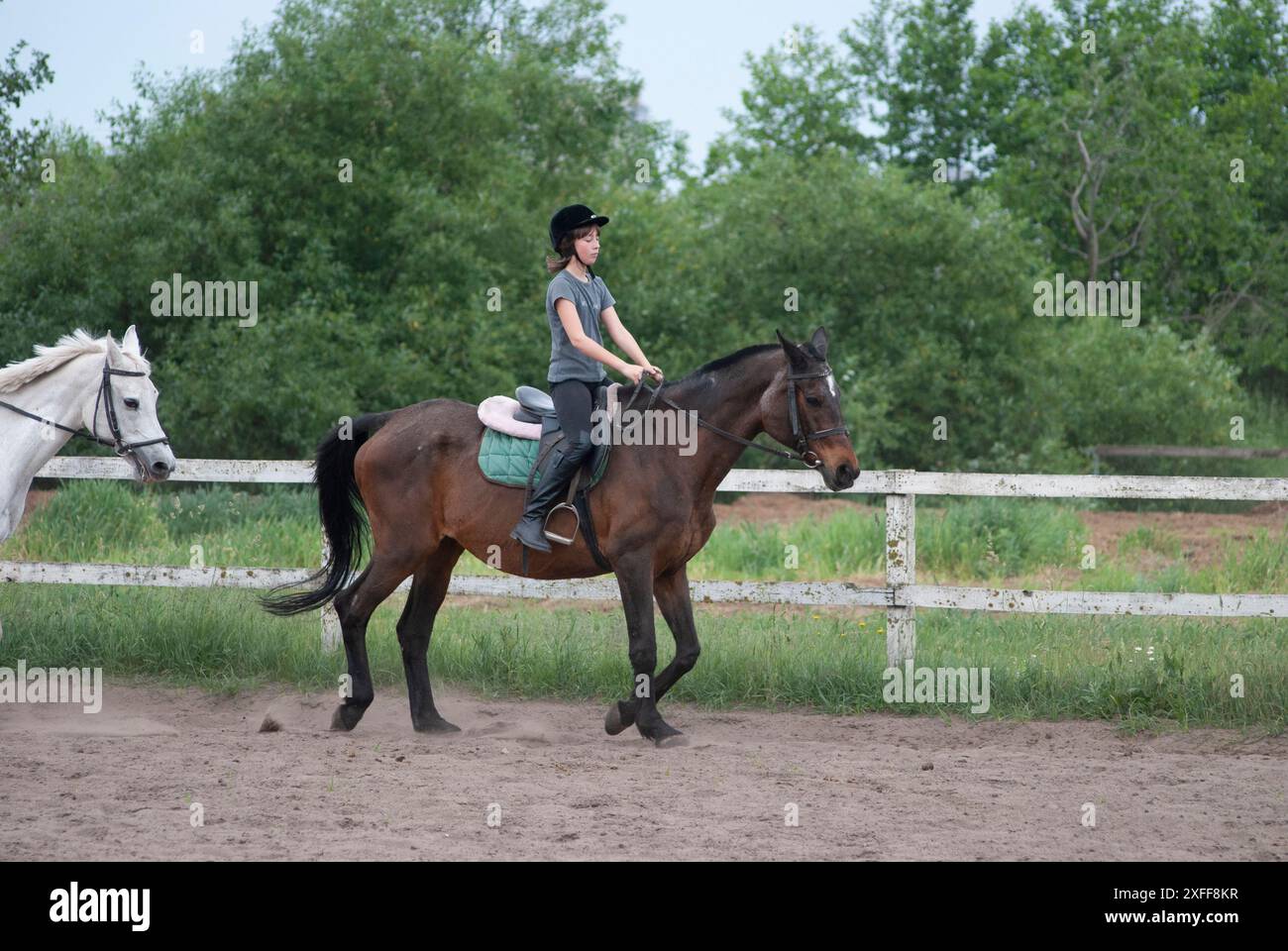Teenage girl learning to gallop on horseback on a summer day Stock ...