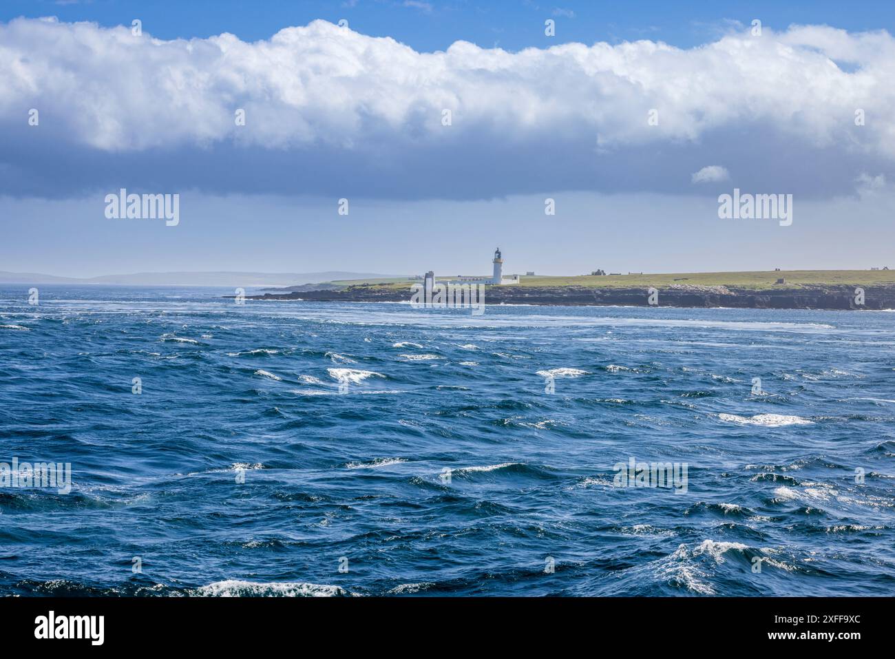 Boars of duncansby hi-res stock photography and images - Alamy