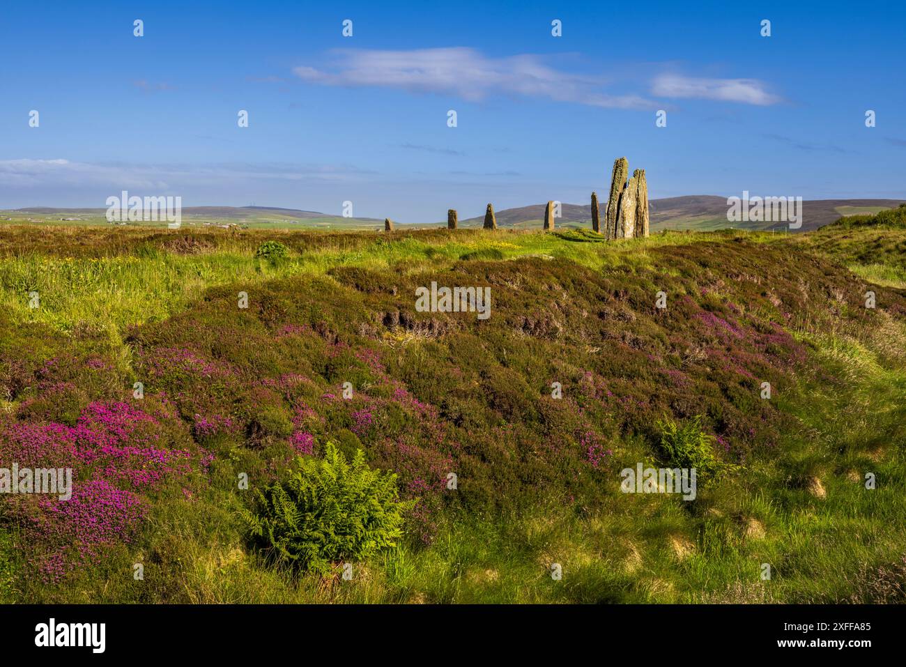 The Neolithic Ring of Brodgar, Orkney Islands, North Scotland Stock ...