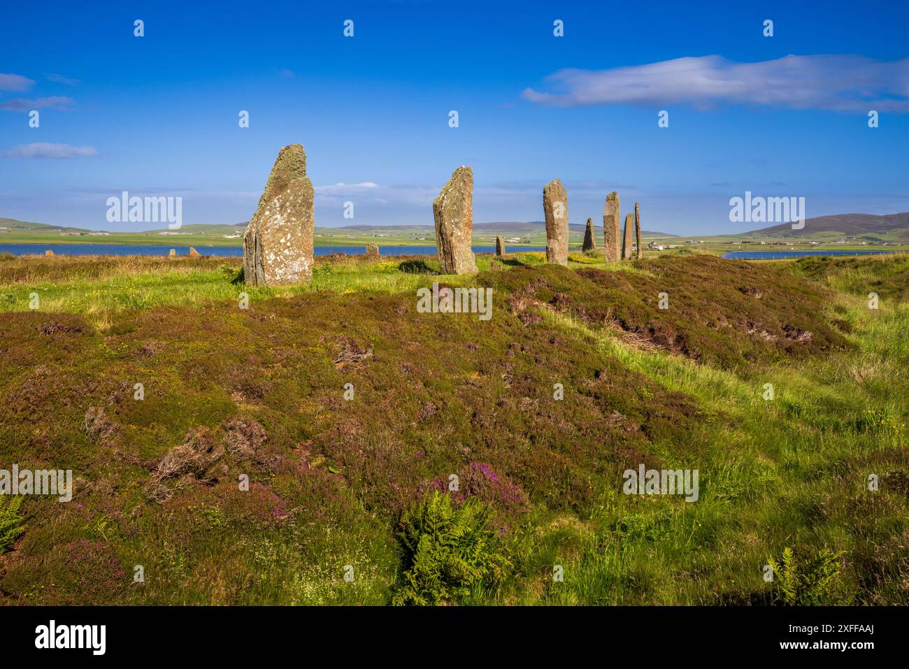 The Neolithic Ring of Brodgar, Orkney Islands, North Scotland Stock ...