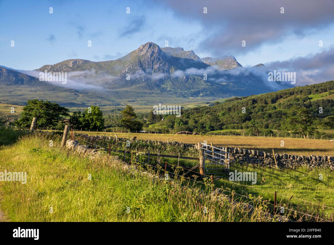 Ben Loyal from the NC 500 at Tongue, Sutherland, Scotland Stock Photo ...
