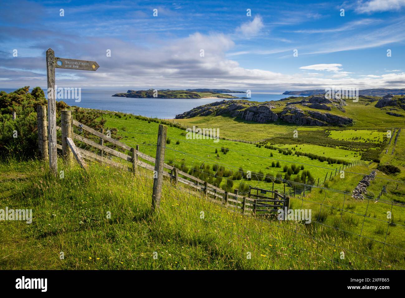 Skinnet hi-res stock photography and images - Alamy