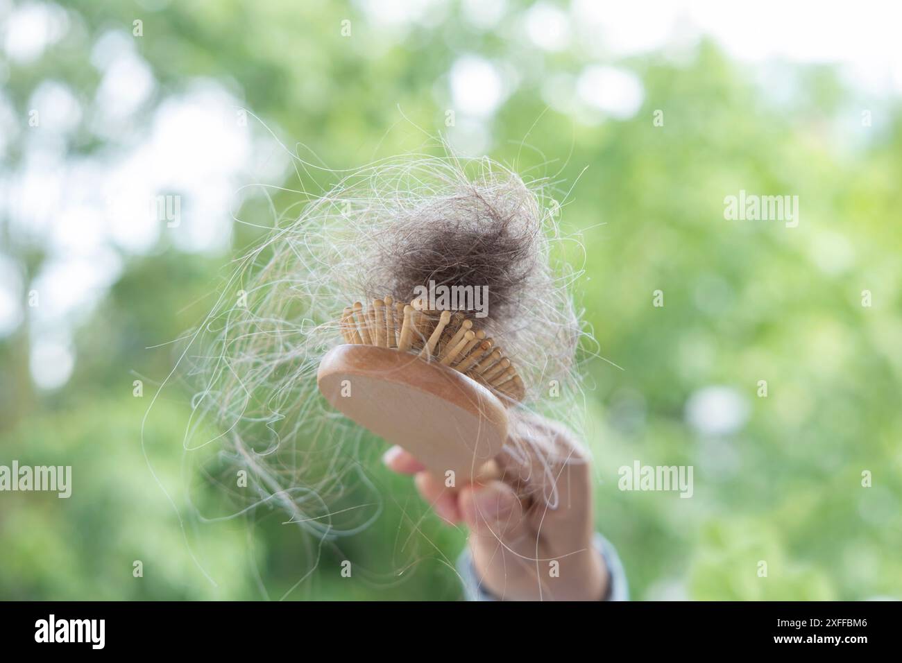 woman holds clump hair after brushing, stress-related hair loss, wooden ...