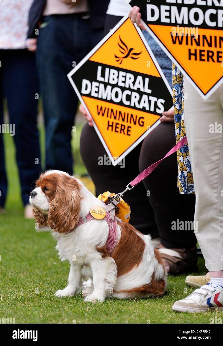 A dog wears a Liberal Democrats badge during a visit by Liberal ...