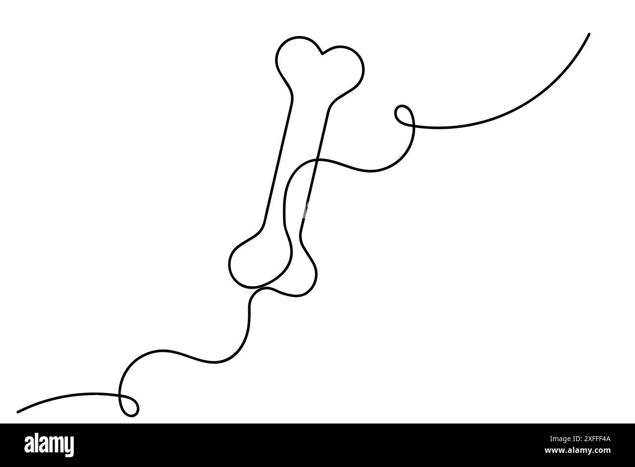 Bone outline hi-res stock photography and images - Alamy
