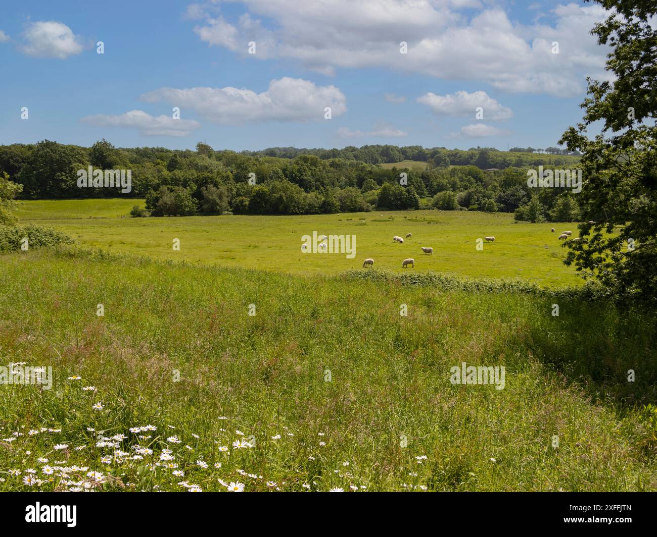 Battle of Hastings, Abbey and battlefield, Battle, East Sussex, UK ...