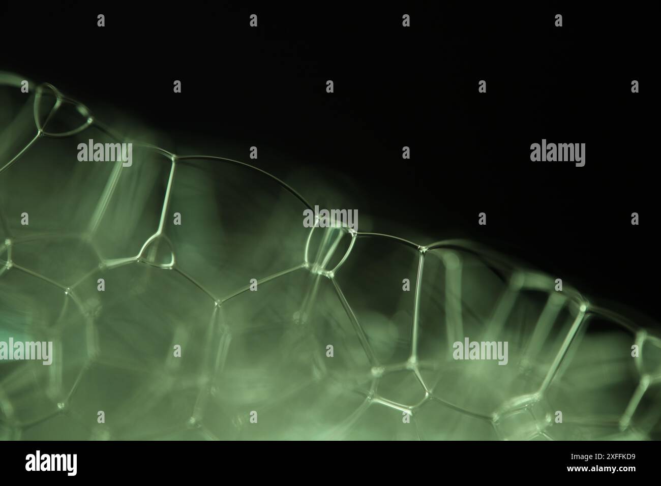 green bubbles in macro, connection of bubbles in macro, cell from ...
