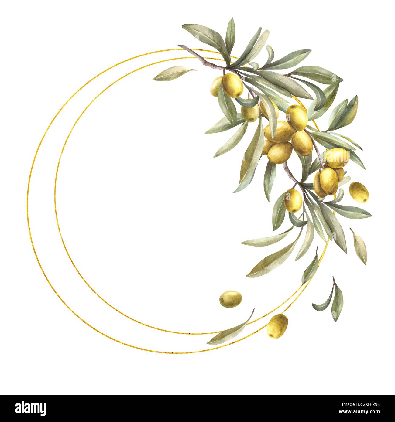Olive tree branch gold framed. Watercolor wreath, round frame. Twig ...