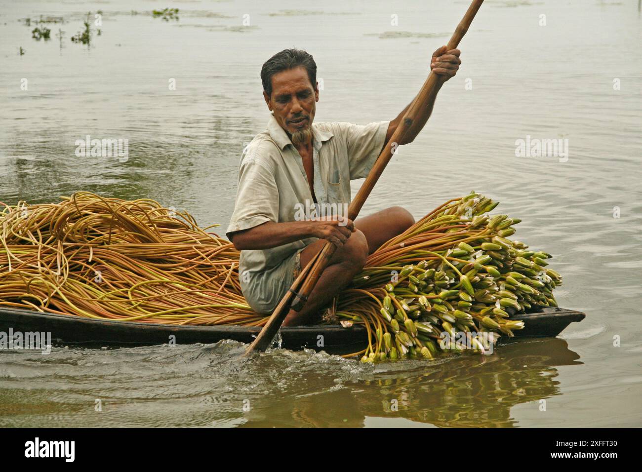 Villager flood bangladesh hi-res stock photography and images - Alamy