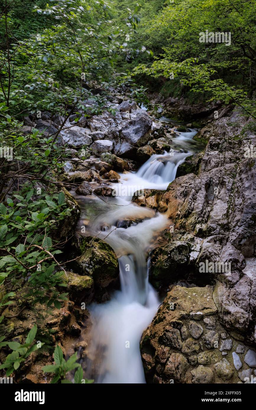 Serene stream flowing over mossy hi-res stock photography and images ...