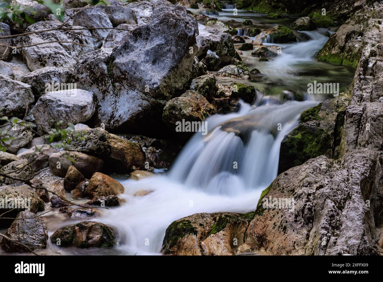 Forest stream running over mossy rocks Stock Photo - Alamy