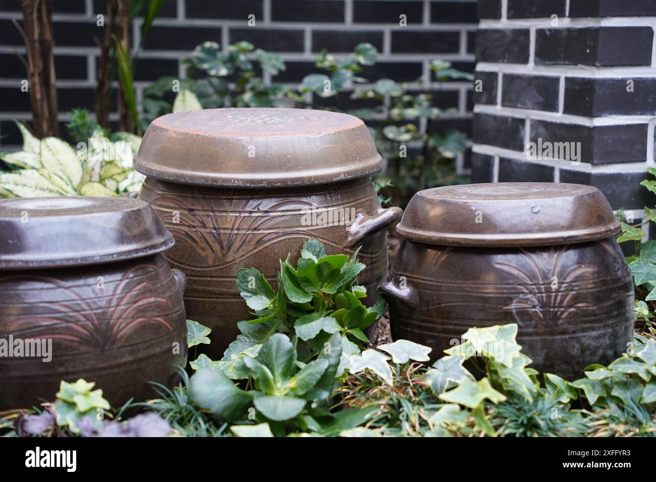 Traditional earthen jars used for aging gochujang and kimchi Onggi are ...