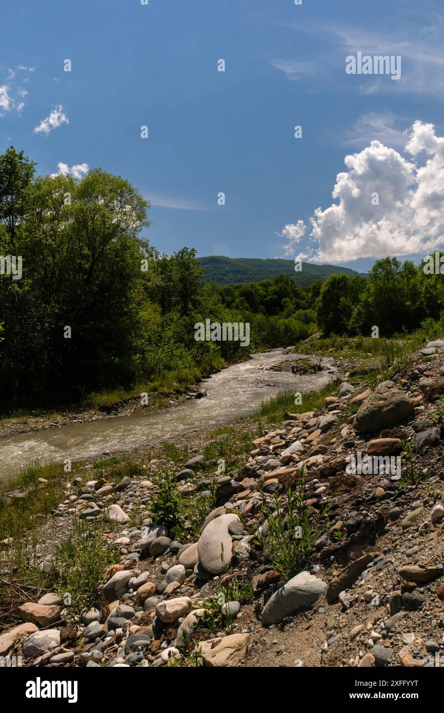 Rocky riverbank with flowing stream, surrounded by lush greenery and ...